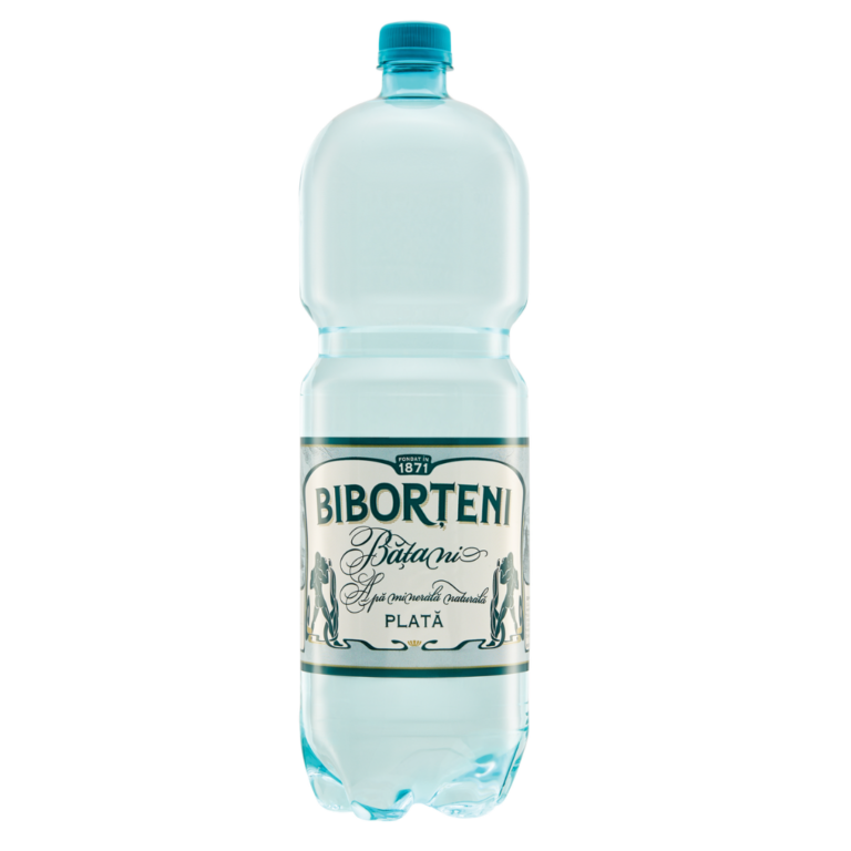 Apă minerală – Biborteni